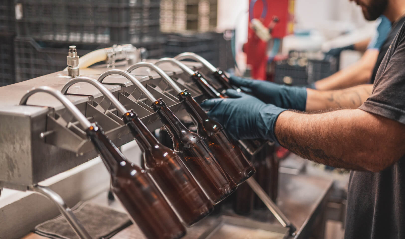 Our Azorean Craft Beer Factory | Korisca